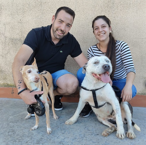 El CAAD tanca el 2025 amb balanç positiu: menys entrades d’animals ...